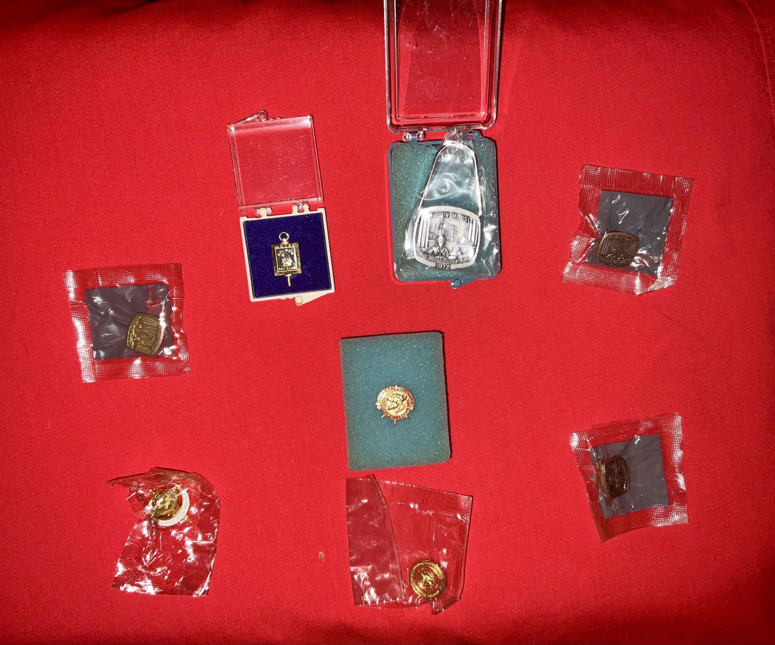 Moose Pins | Collectors Weekly