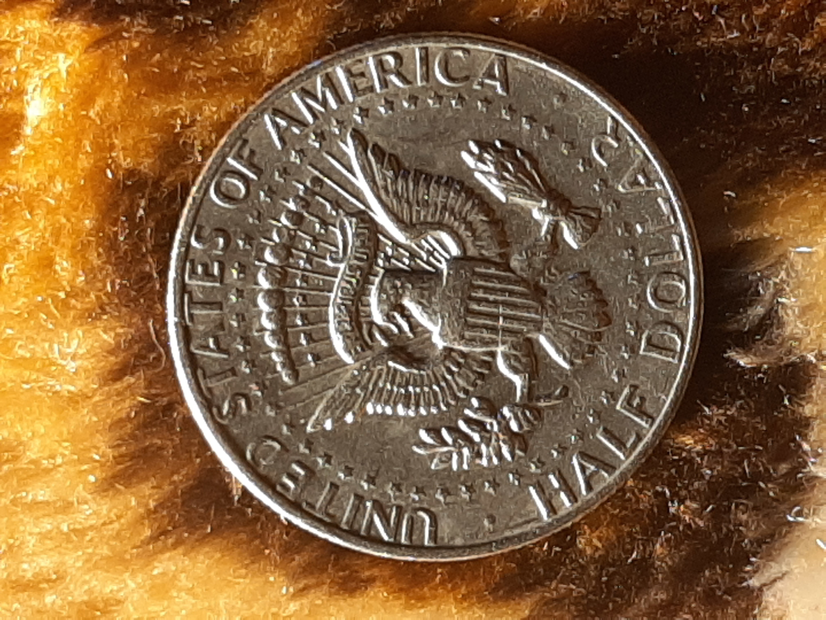 1981 S Kennedy Half Dollar Filled D Collectors Weekly