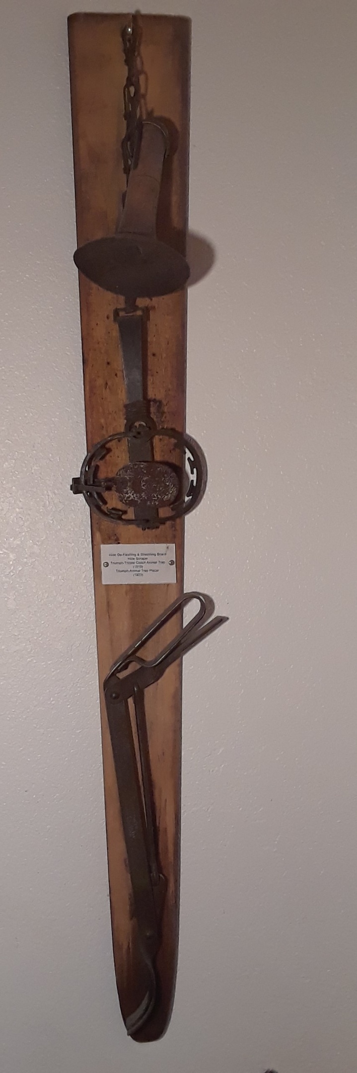 Animal Trap Display | Collectors Weekly